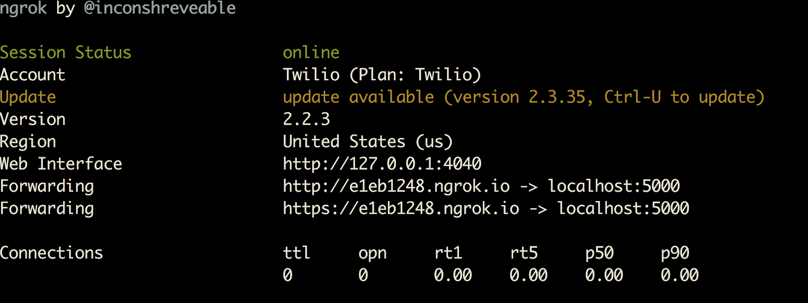 Updating Twilio Phone Calls In Real Time With Python Twilio